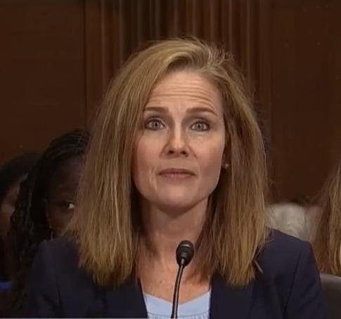 Amy Coney Barrett (District of Columbia, Seventh Circuit, Supreme Court ...
